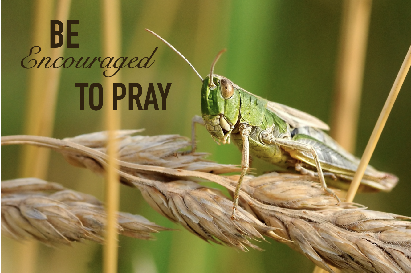 Be Encouraged to Pray – Kairos Ministries