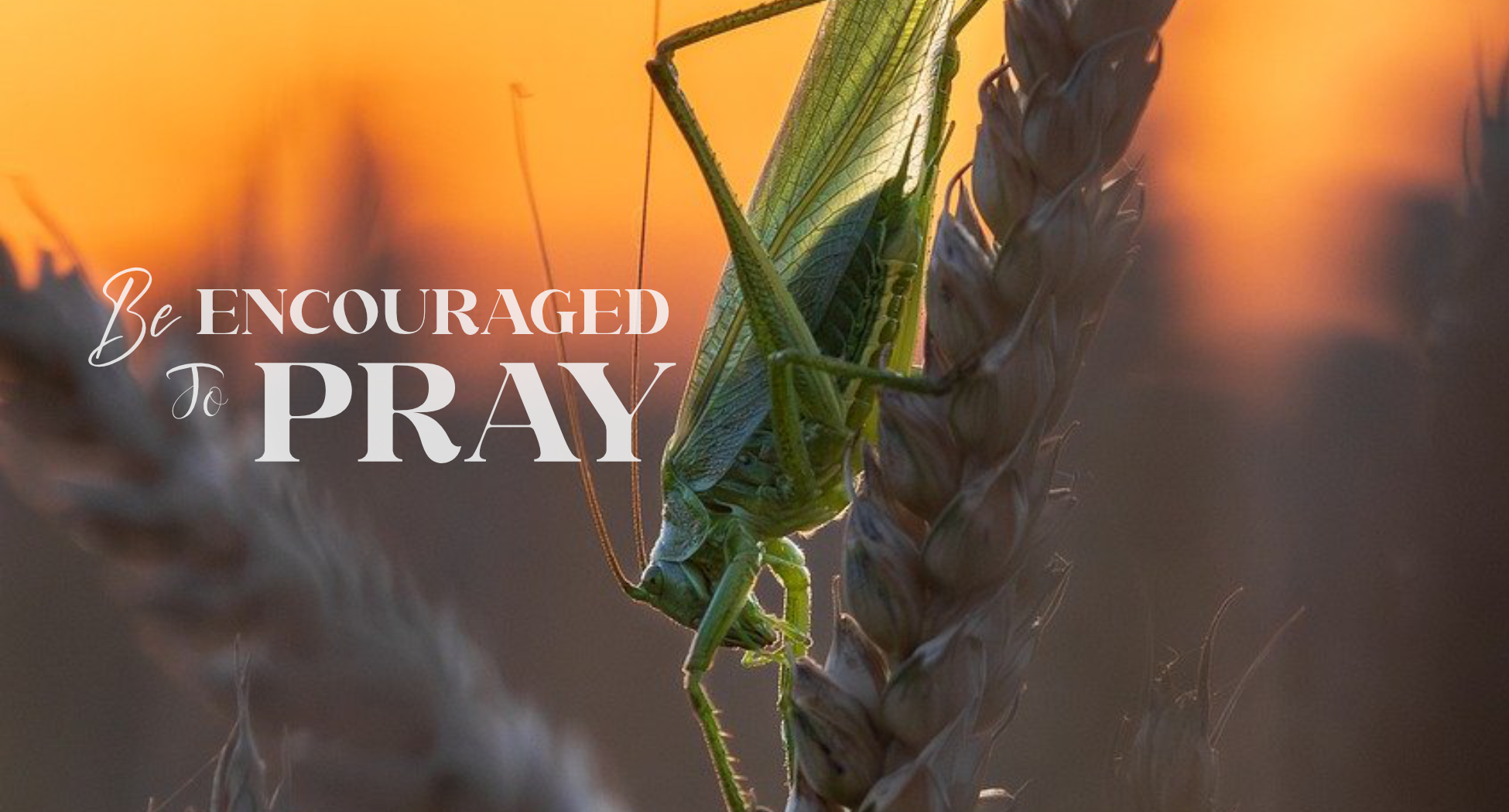 Be Encouraged to Pray – Kairos Ministries